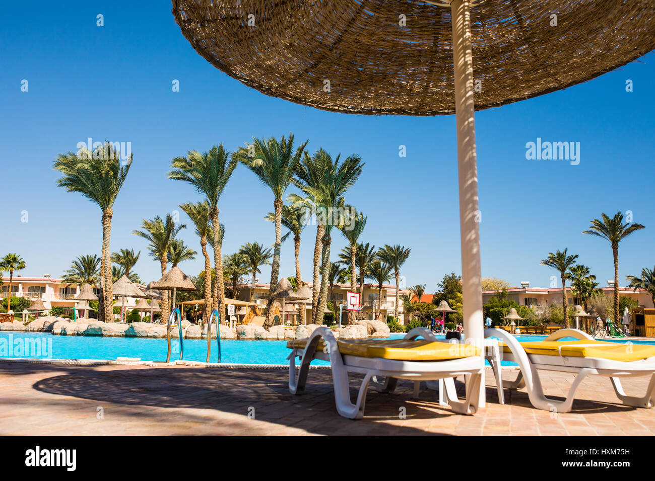 Tropical Resort Pool with Lounge Chairs, Palm Trees, and Ocean View ...