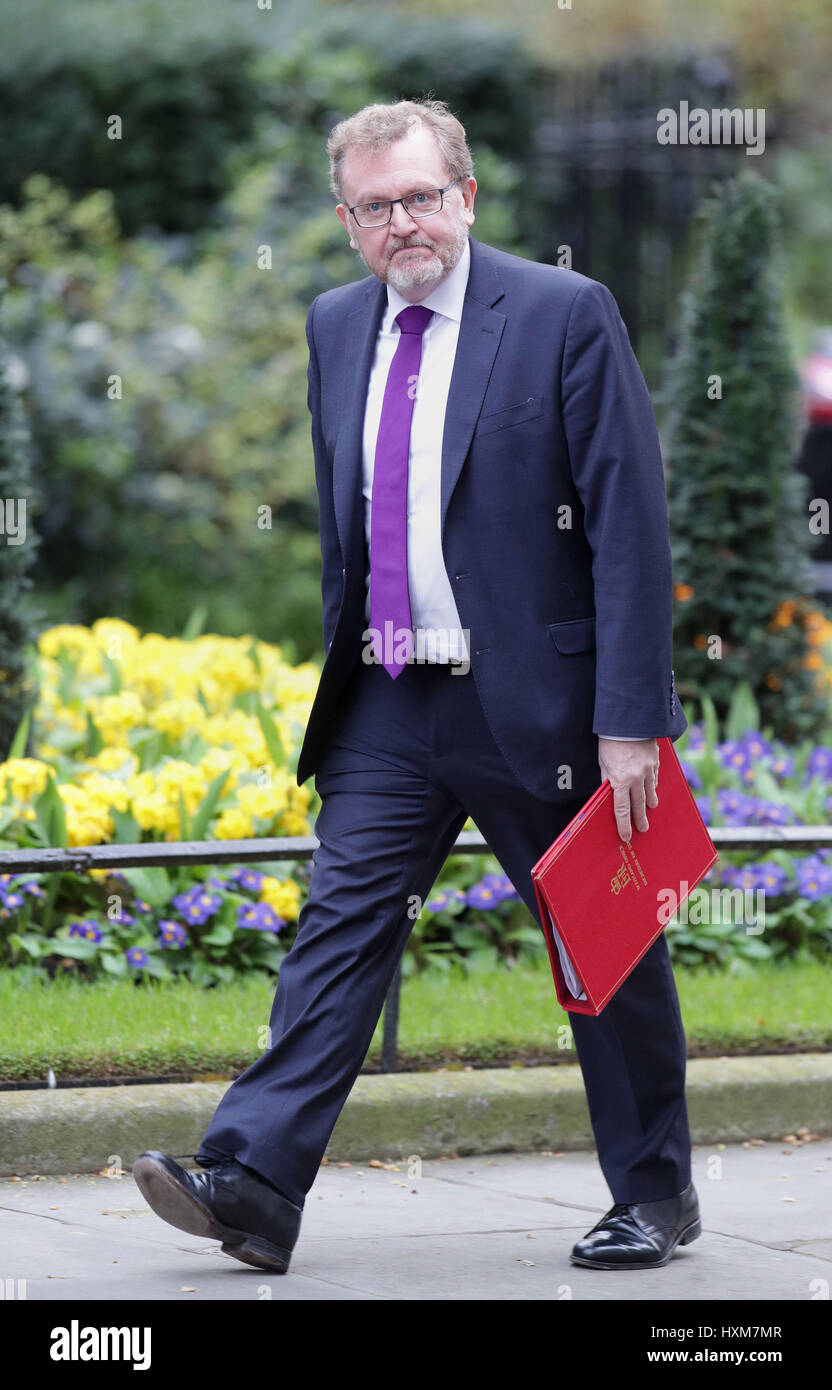 Scotland secretary david mundell arriving for hi-res stock photography ...