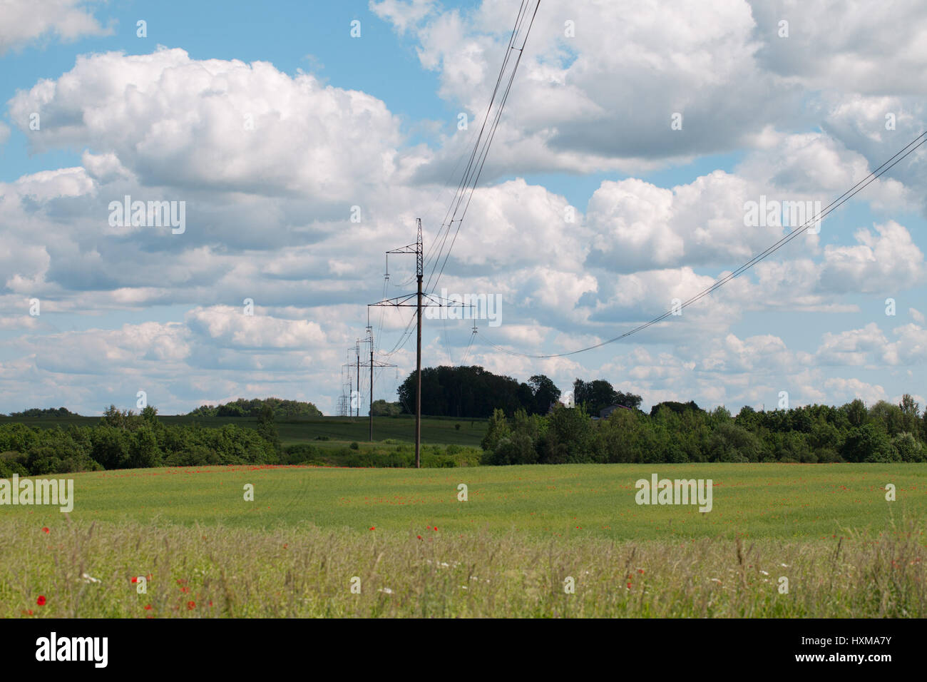 Electricity line in the green landscape Stock Photo - Alamy