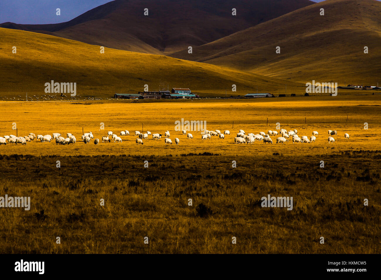 Qilian Mountains in Qinghai Province,China Stock Photo - Alamy