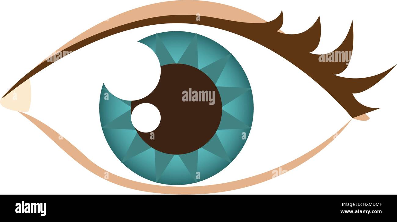 cartoon human female eye with eyelash Stock Vector Image & Art - Alamy