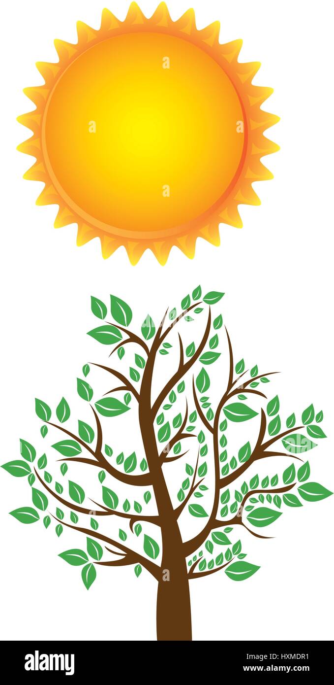 colorful nature picture with tree with leafy branches and sun Stock ...