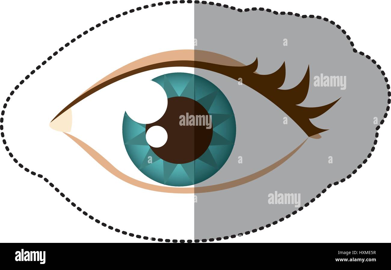 sticker cartoon human female eye with eyelash Stock Vector Image & Art ...