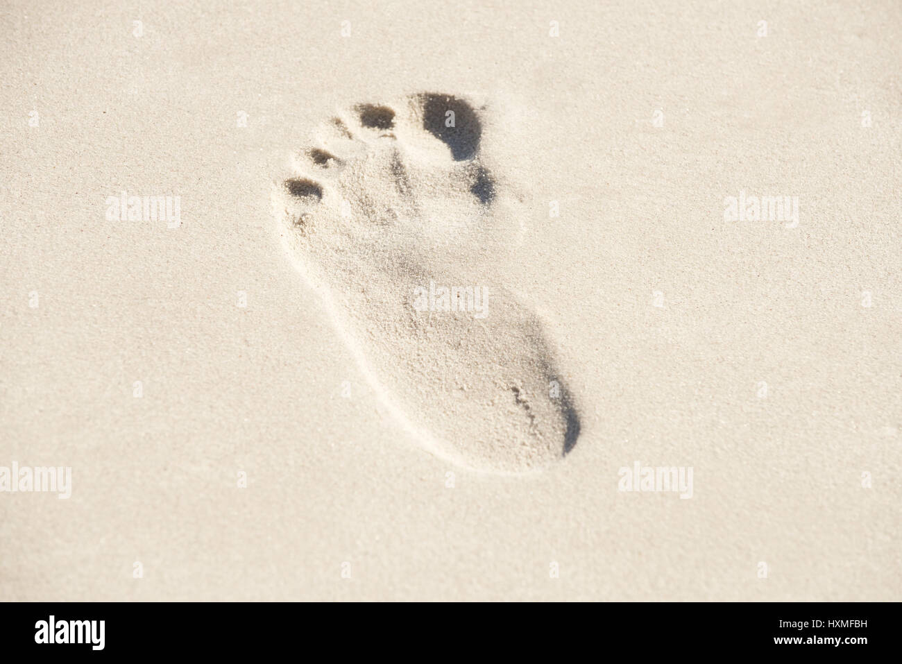 One footstep hi-res stock photography and images - Alamy