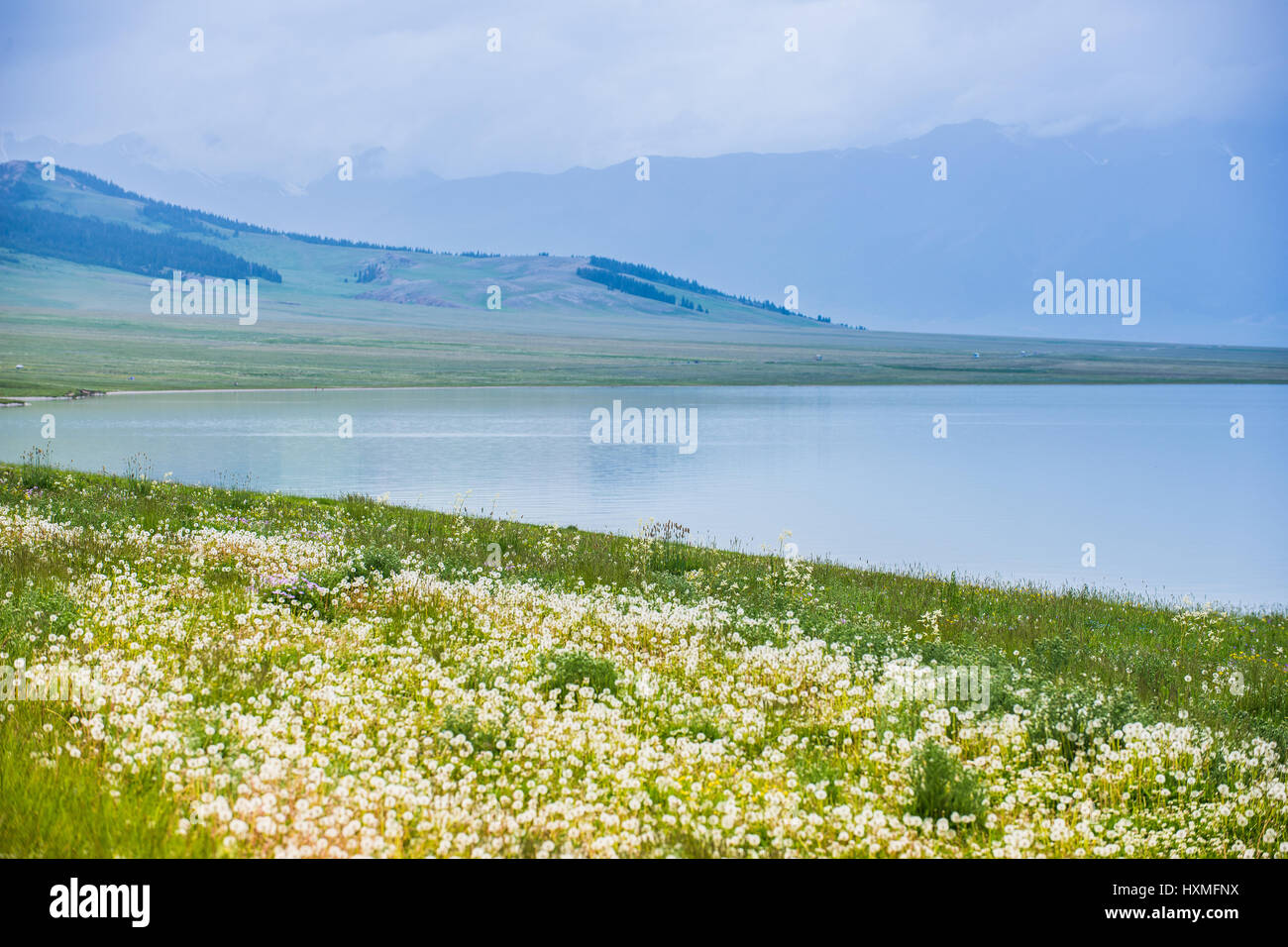 Sailimu Lake scenery,Sinkiang,China Stock Photo - Alamy