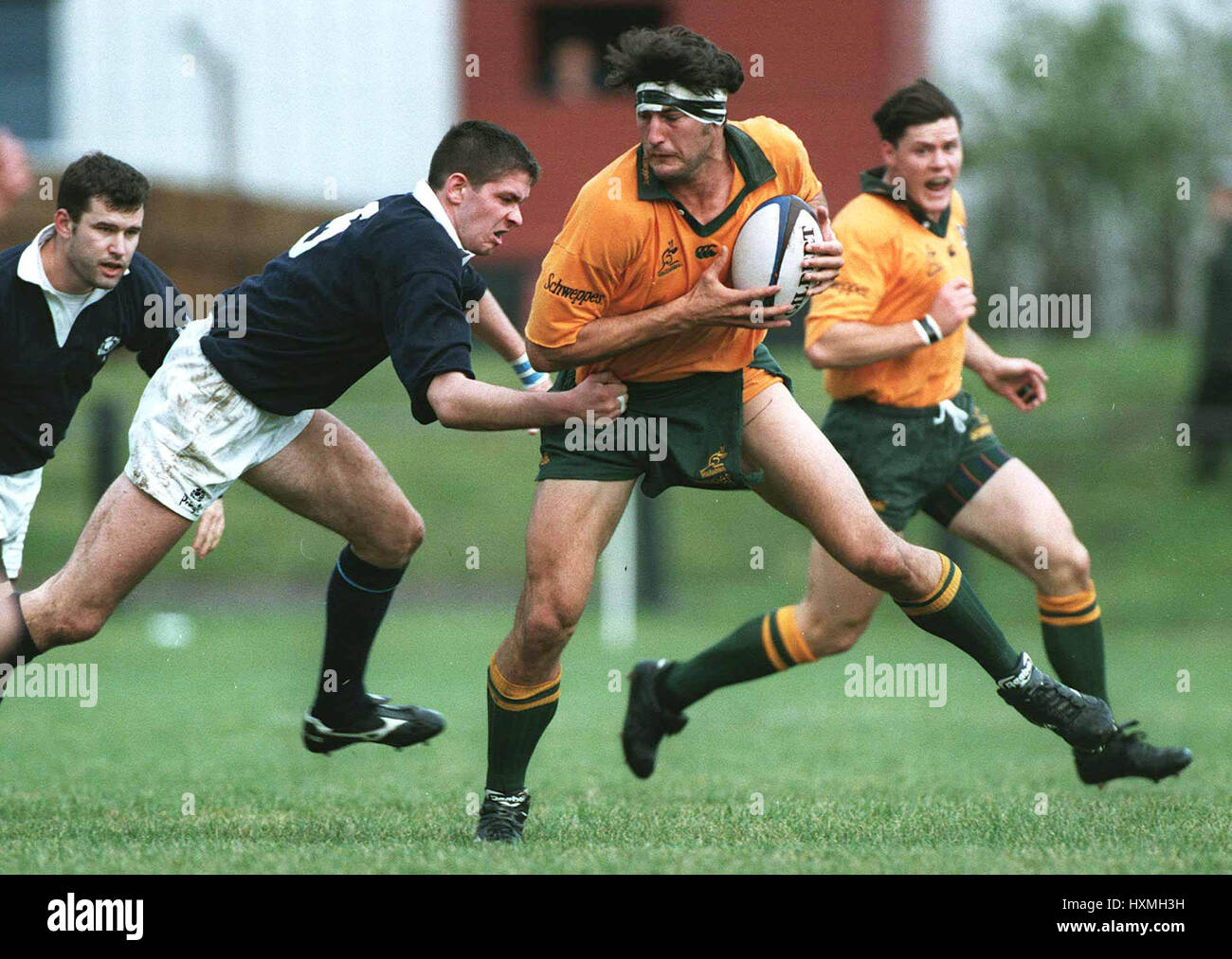 Rugby union scott murray hi-res stock photography and images - Alamy