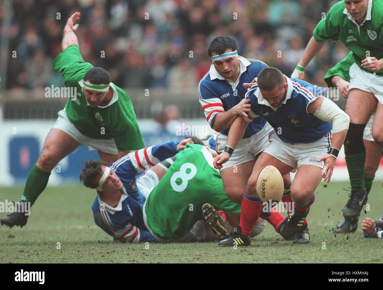 CHRISTIAN CALIFANO FRANCE V IRELAND FIVE NATIONS 19 February 1996 Stock ...
