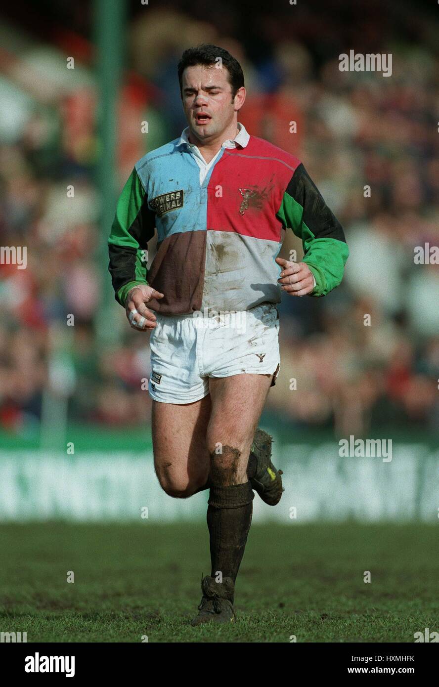 Will carling hi-res stock photography and images - Alamy