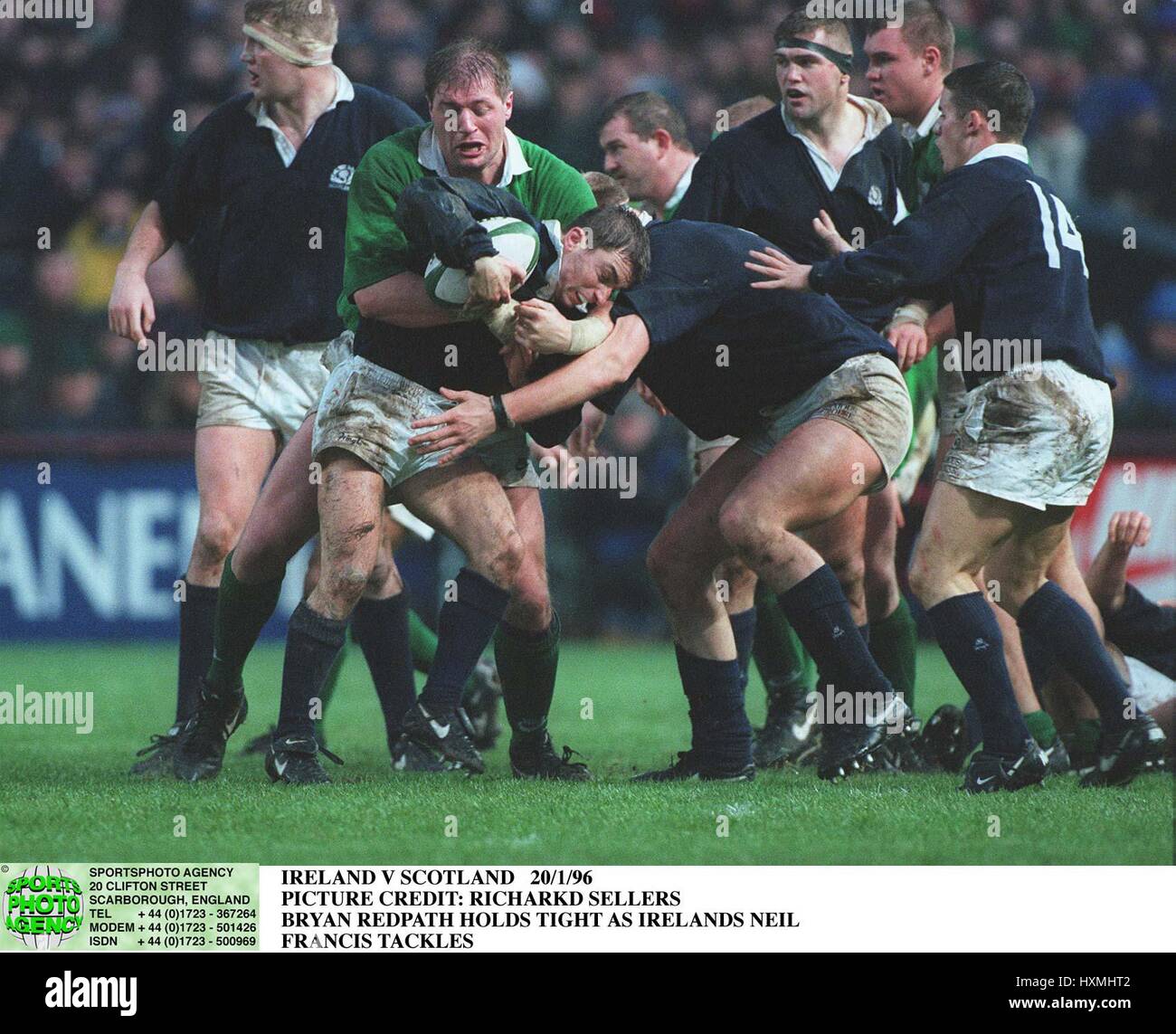 Neil francis rugby hi-res stock photography and images - Alamy