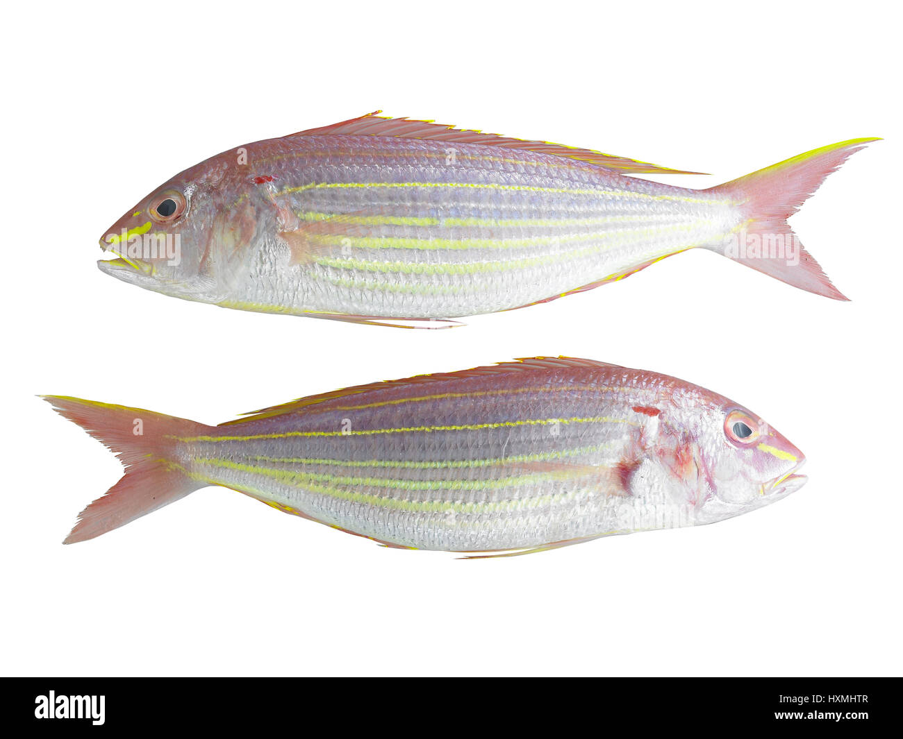 Fresh Meat & Seafood Stock Photo - Alamy