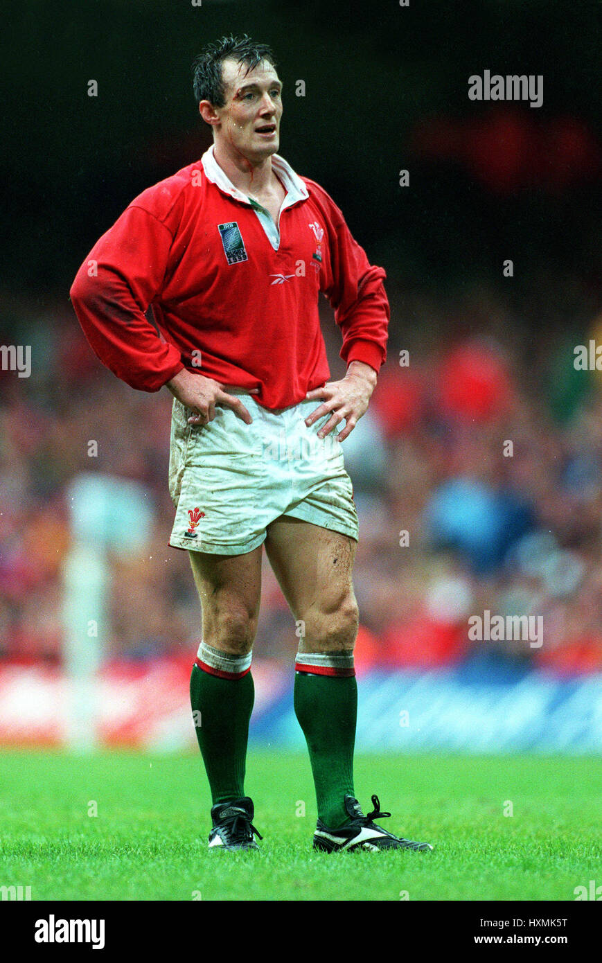 ROBERT HOWLEY WALES & CARDIFF RU 24 October 1999 Stock Photo - Alamy