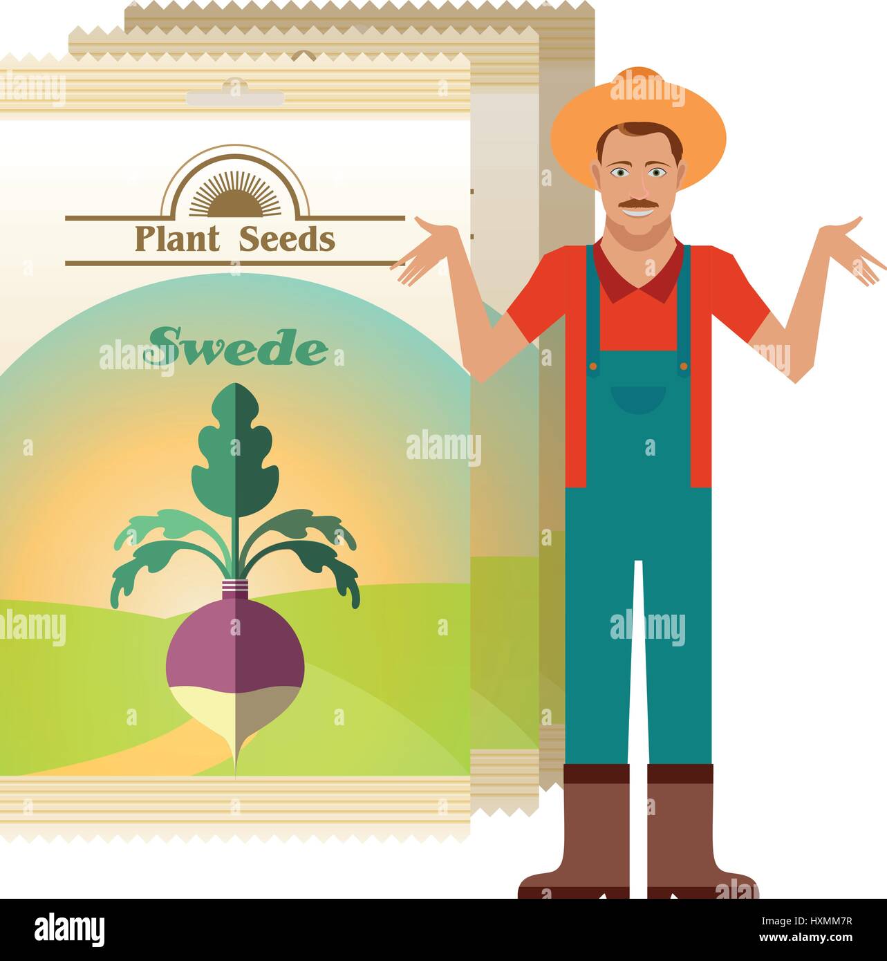 Pack of Swede seeds Stock Vector Image & Art - Alamy