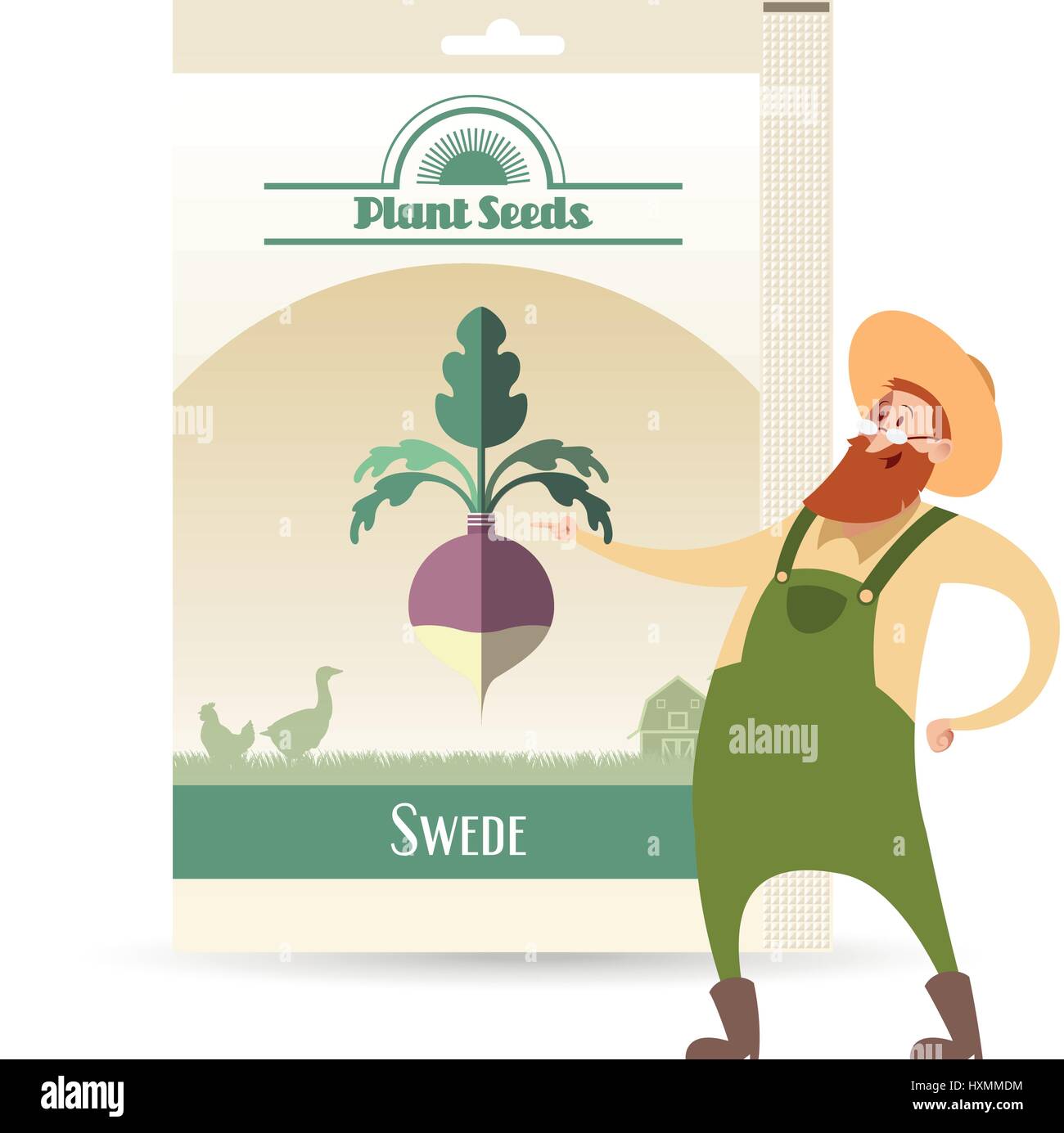 Pack of Swede seeds Stock Vector Image & Art - Alamy
