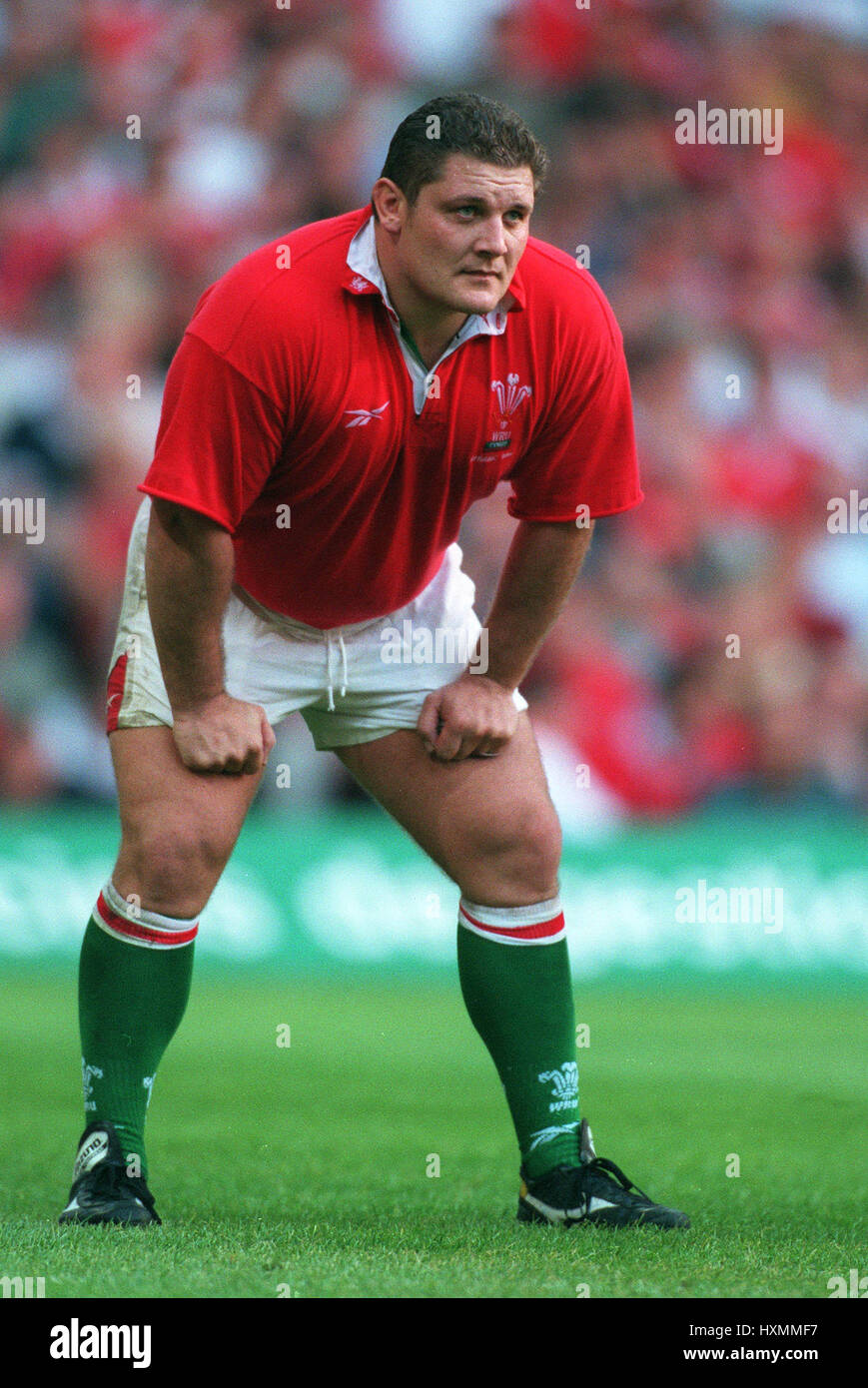 Peter rogers hi-res stock photography and images - Alamy