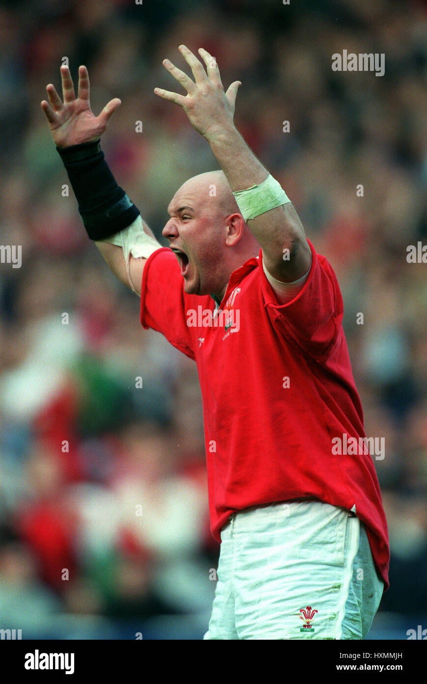 England v wales quinnell hi-res stock photography and images - Alamy