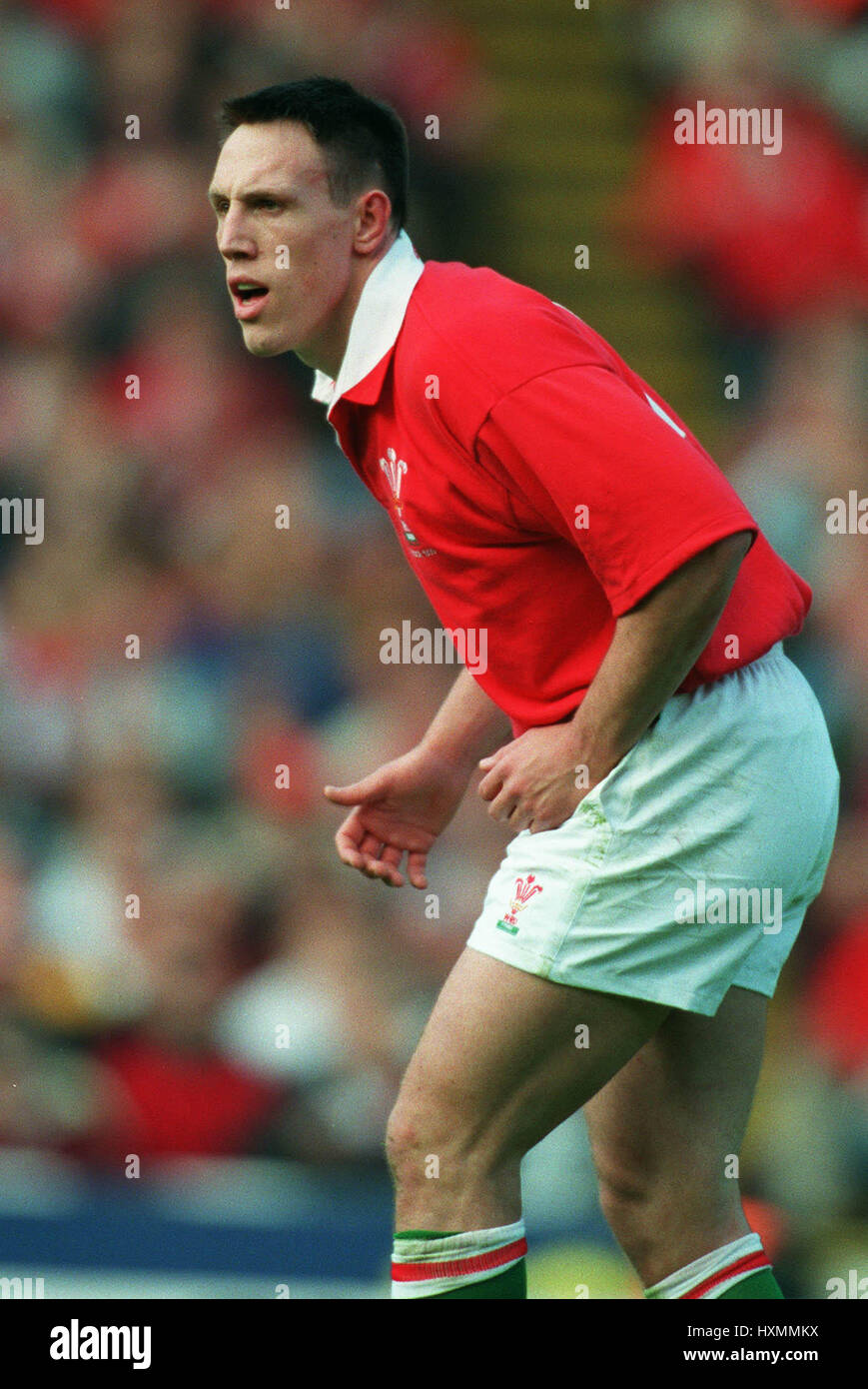 Rugby union mark taylor hi-res stock photography and images - Alamy