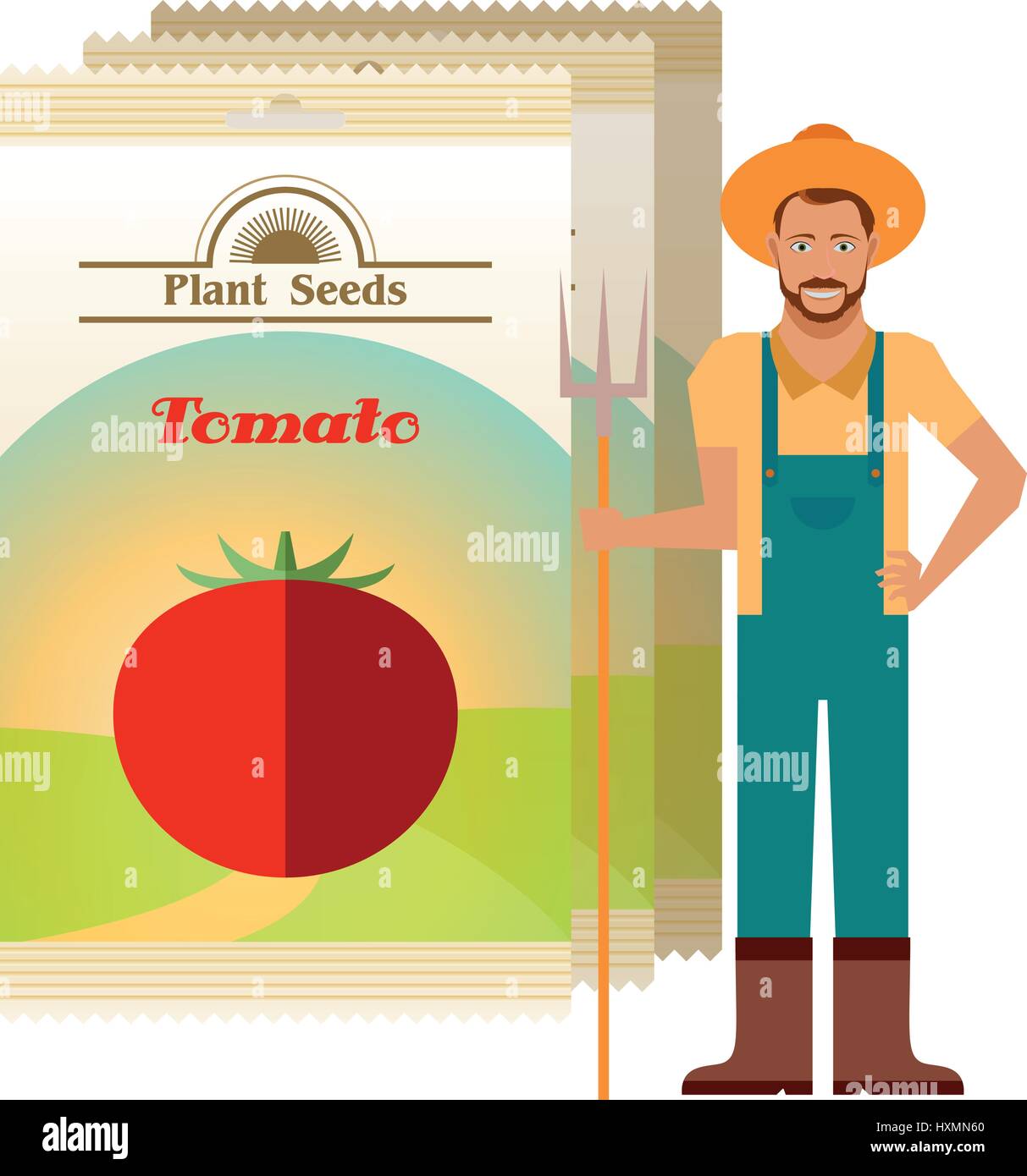 Pack of Tomato seeds Stock Vector Image & Art - Alamy