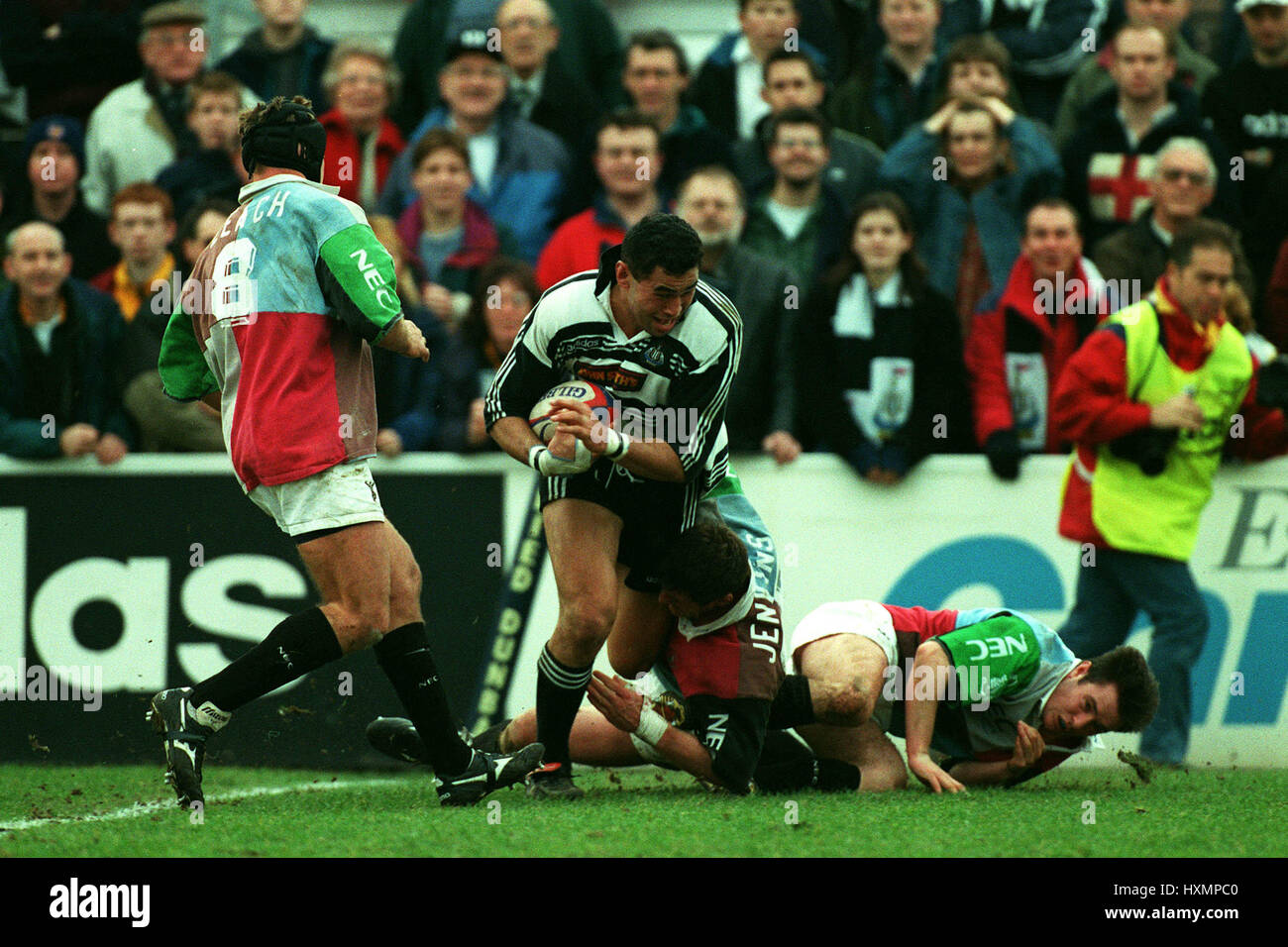 Pat Lam Rugby High Resolution Stock Photography and Images - Alamy