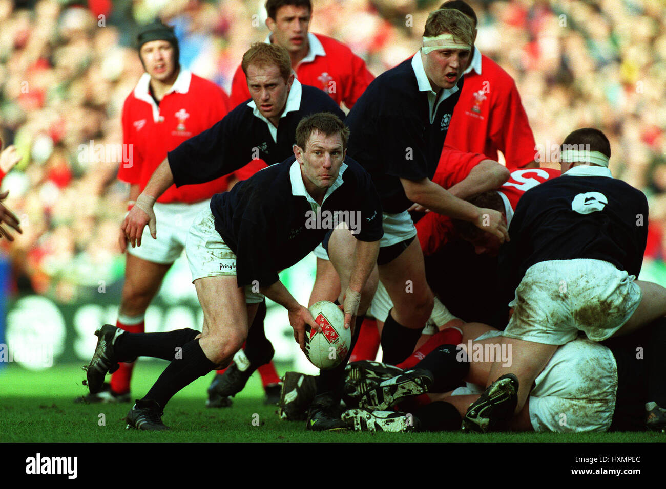 Scotland rugby gary armstrong hi-res stock photography and images - Alamy