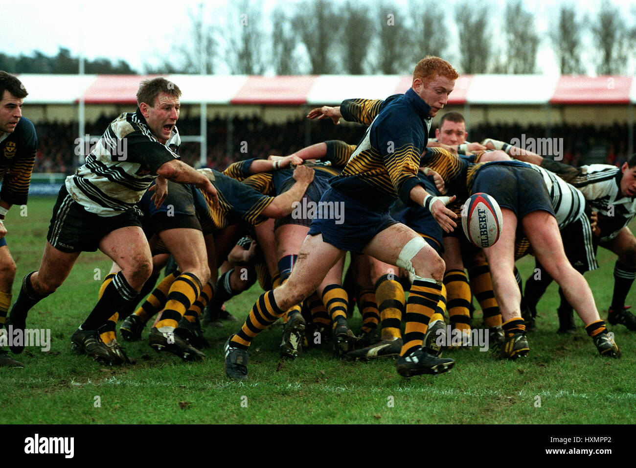 Steve powell hi-res stock photography and images - Alamy