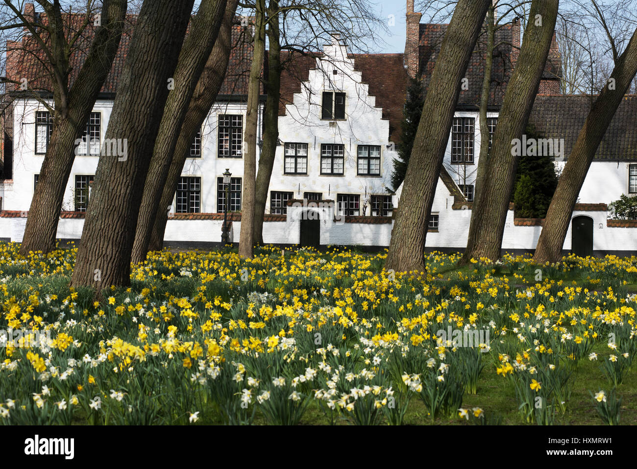 Beguine Medieval High Resolution Stock Photography and Images - Alamy