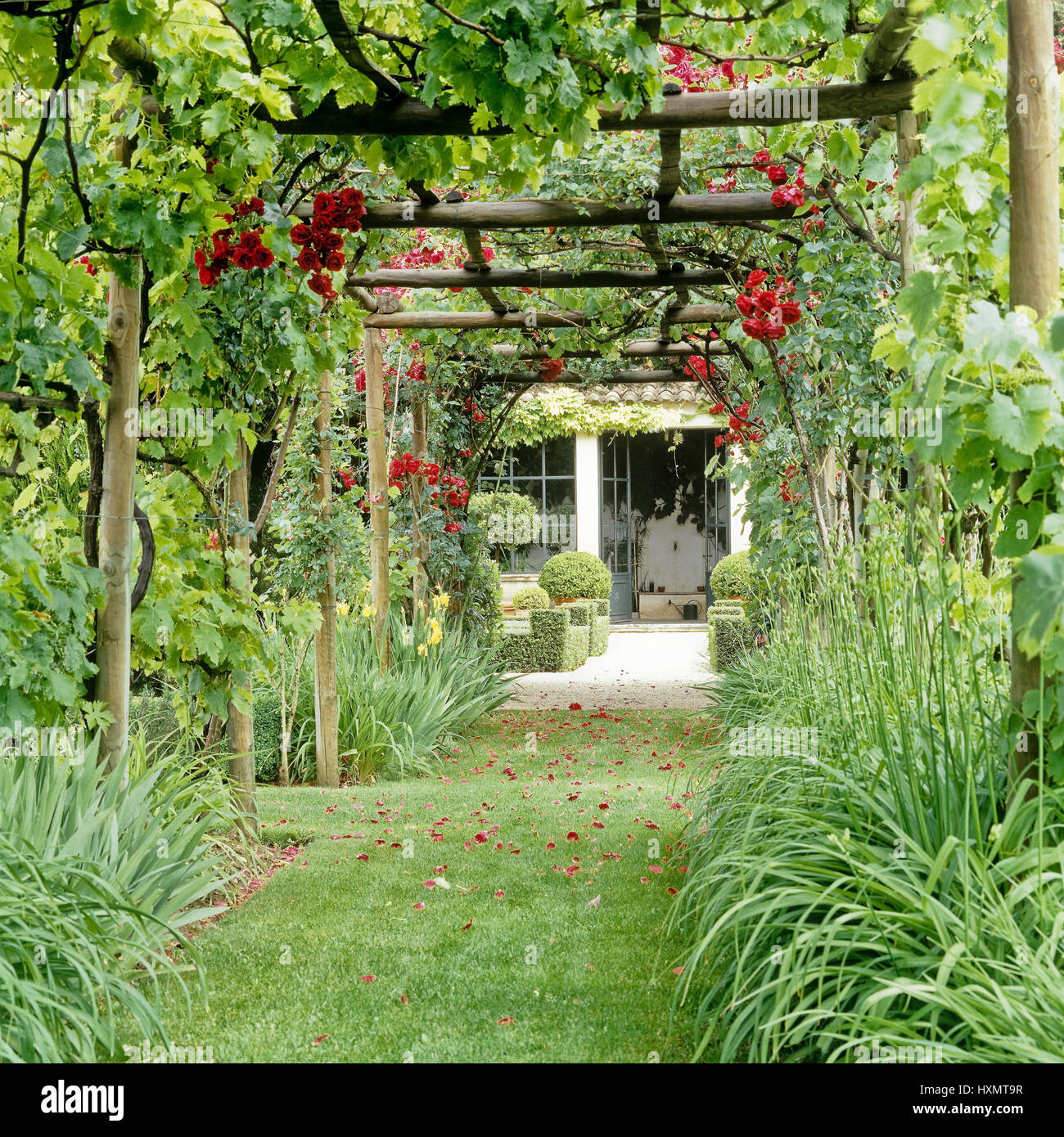 Wooden pergola pergolas hi-res stock photography and images - Alamy