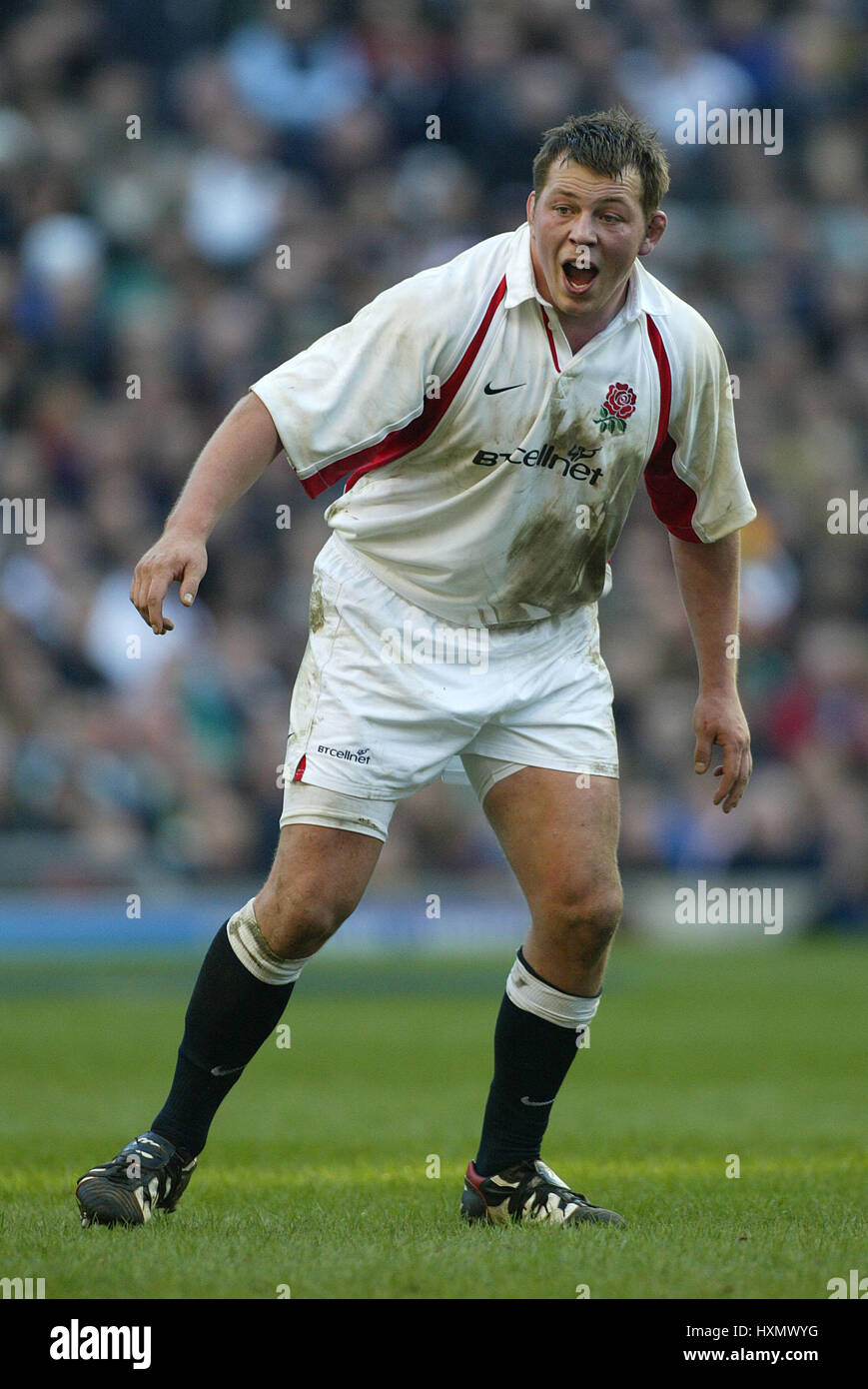 Northampton saints steve thompson hi-res stock photography and images ...