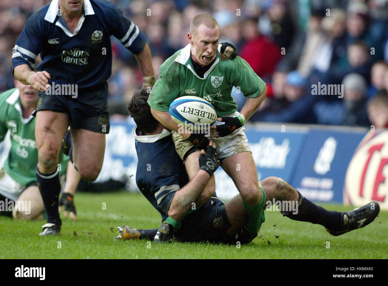 Kenny logan rugby hi-res stock photography and images - Alamy