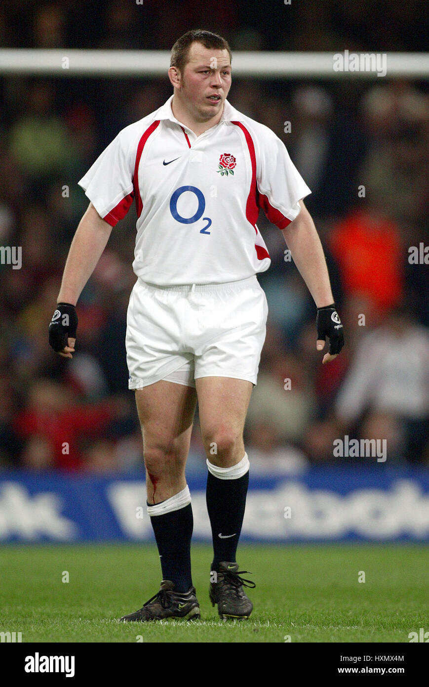 STEVE THOMPSON. ENGLAND & NORTHAMPTON SAINTS R MILLENNIUM STADIUM ...