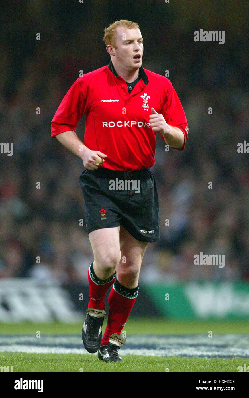 MARTYN WILLIAMS WALES & CARDIFF RU MILLENNIUM STADIUM CARDIFF WALES 22 ...