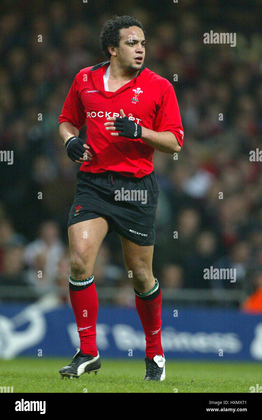 Gavin thomas wales hi-res stock photography and images - Alamy