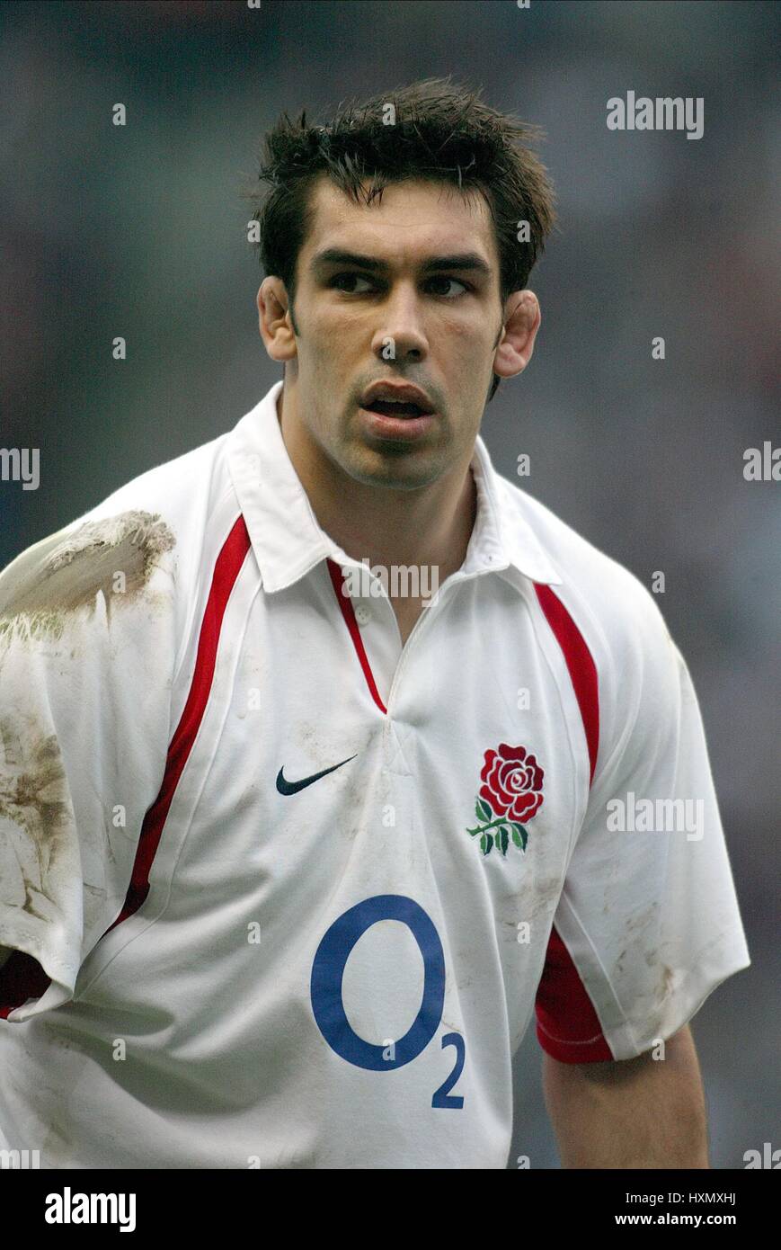 Alex sanderson sale sharks hi-res stock photography and images - Alamy