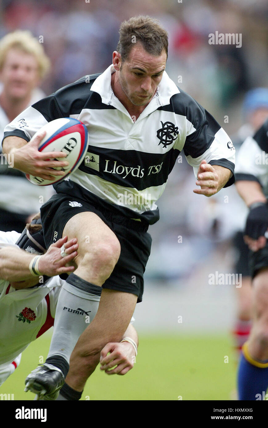 Mark robinson new zealand hi-res stock photography and images - Alamy