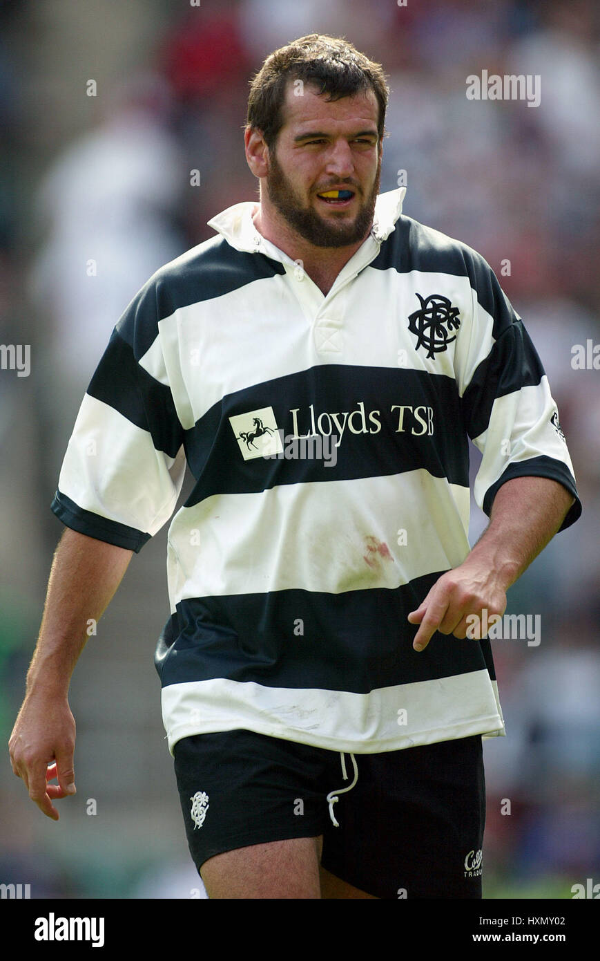 Carl hayman new zealand hi-res stock photography and images - Alamy