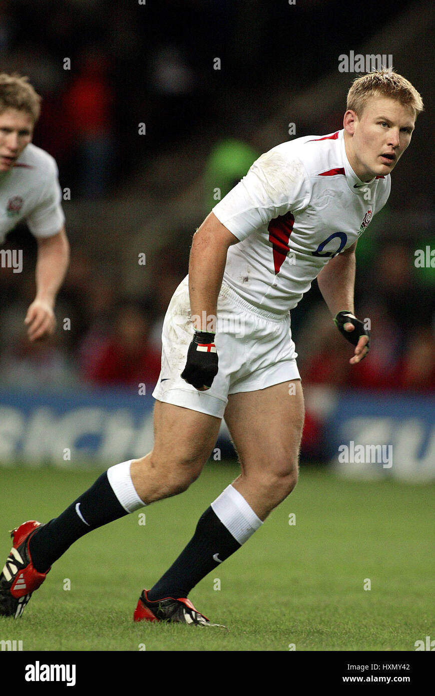 Wasps stuart abbott hi-res stock photography and images - Alamy