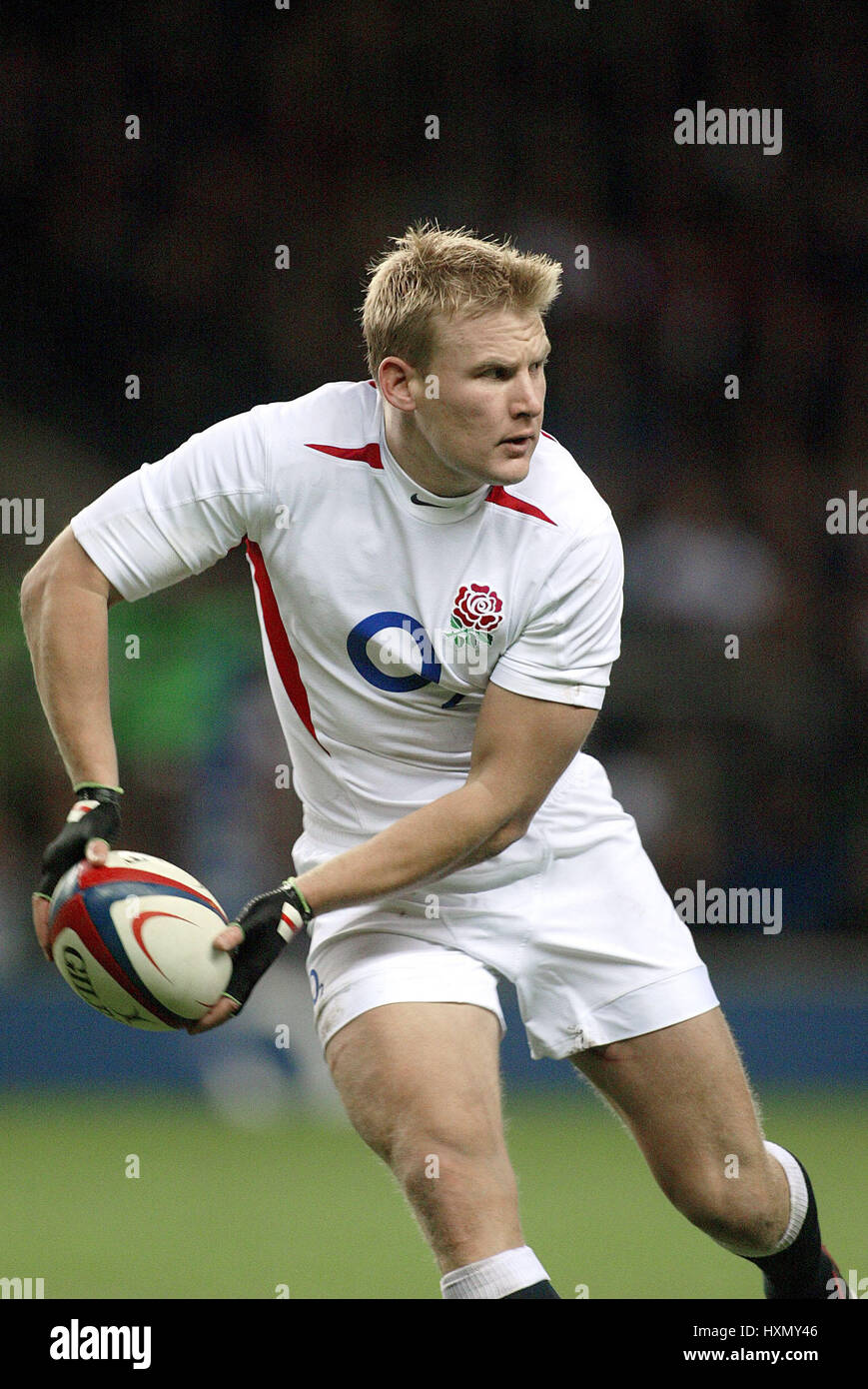 Wasps Stuart Abbott High Resolution Stock Photography and Images - Alamy