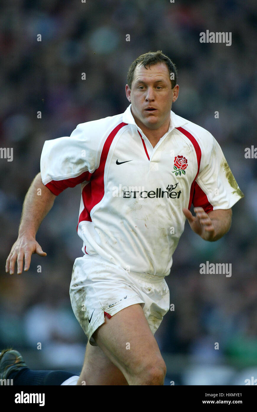 Richard hill rugby england hi-res stock photography and images - Alamy