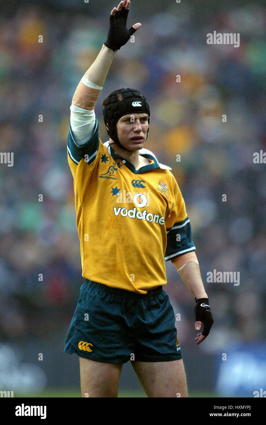 Stephen larkham of australia hi-res stock photography and images - Alamy