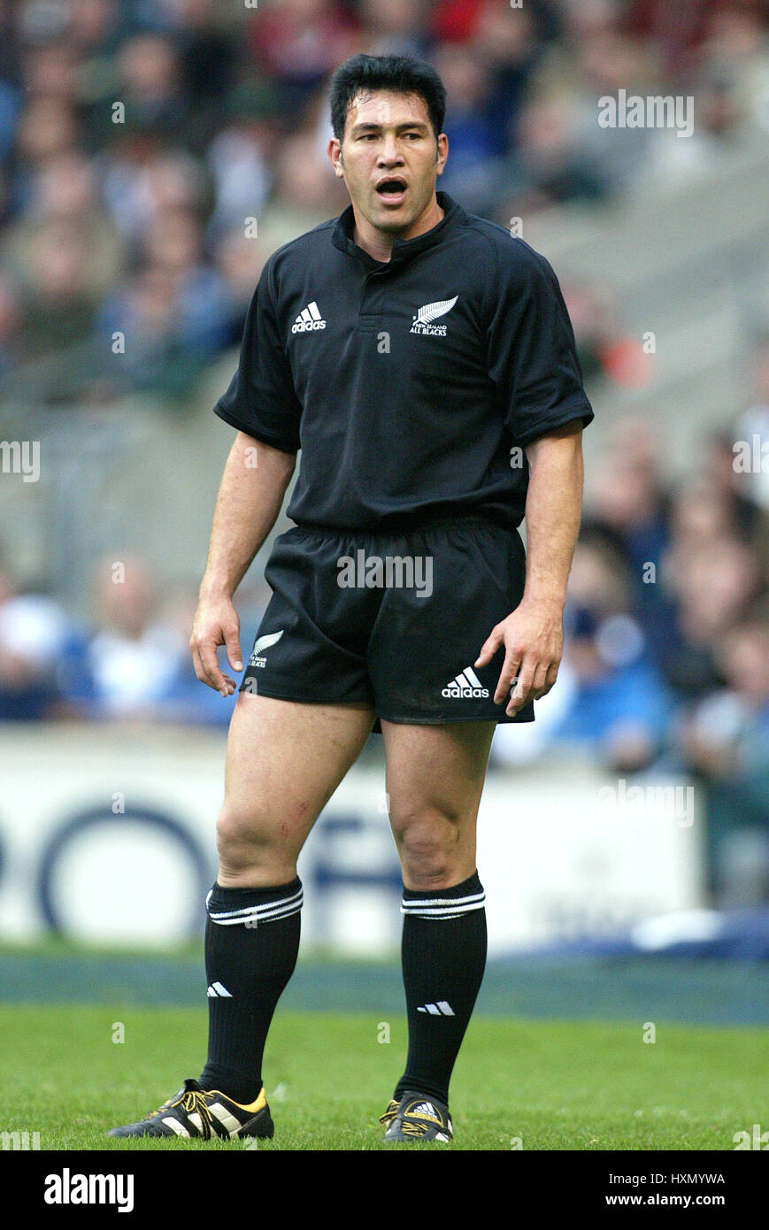 Löwen hi-res stock photography and images - Alamy