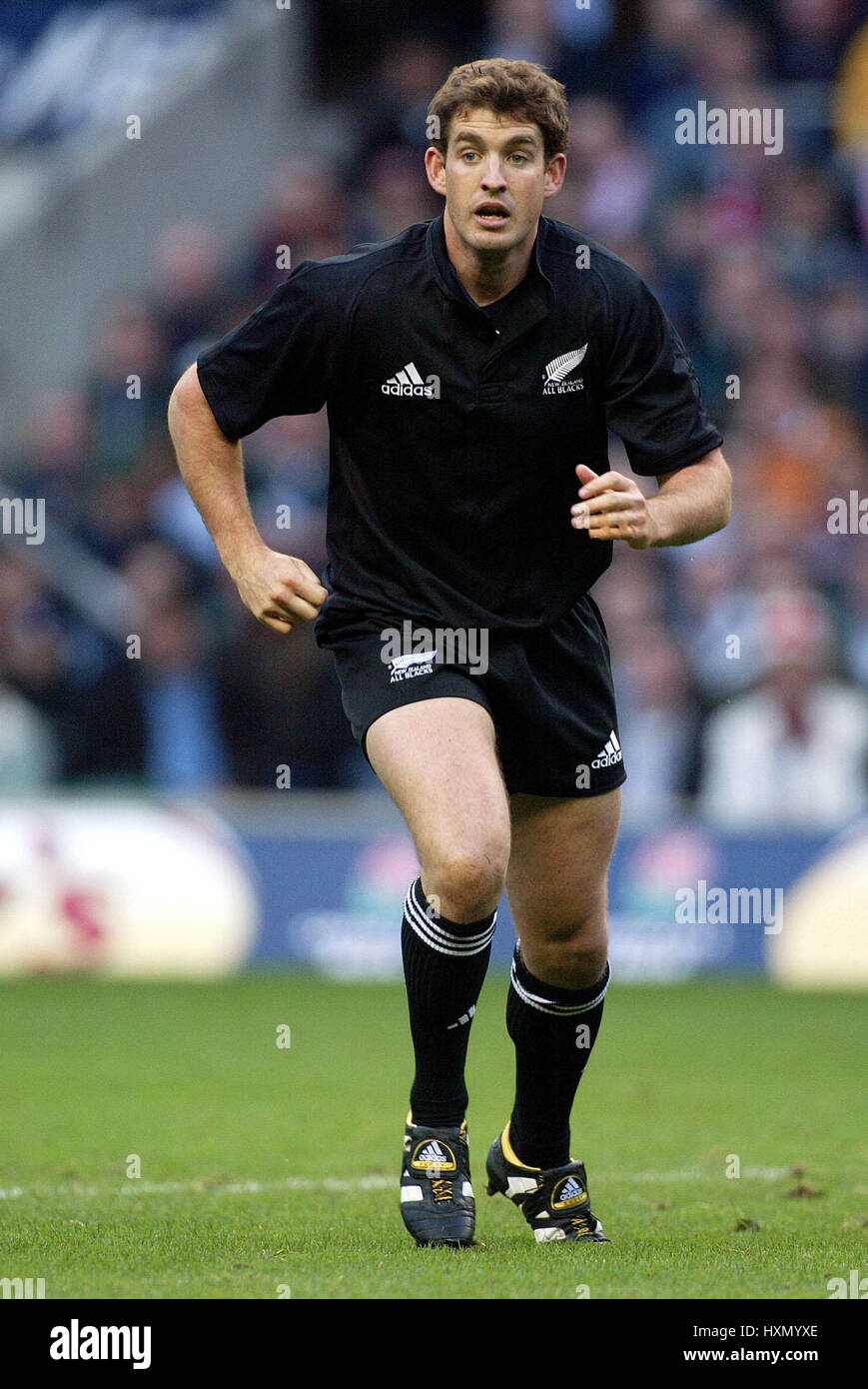 Mark robinson new zealand hi-res stock photography and images - Alamy