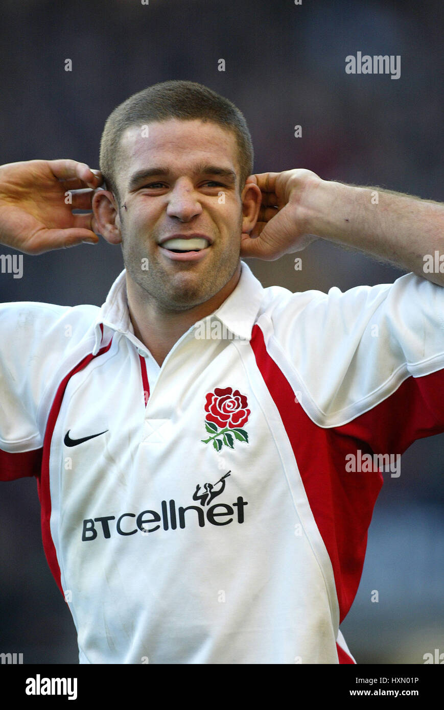 Wasps joe worsley hi-res stock photography and images - Alamy