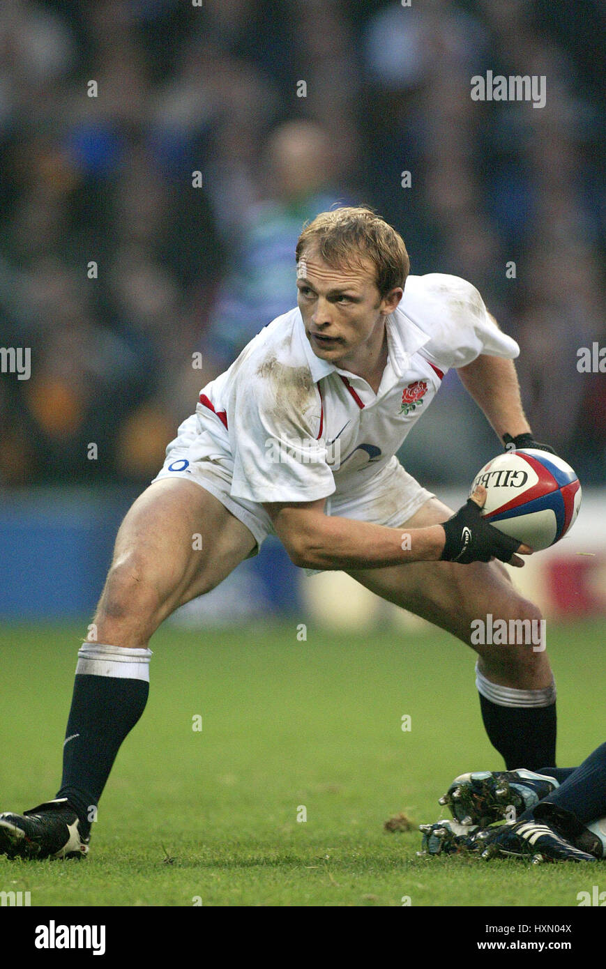 Matt dawson england rugby hi-res stock photography and images - Alamy