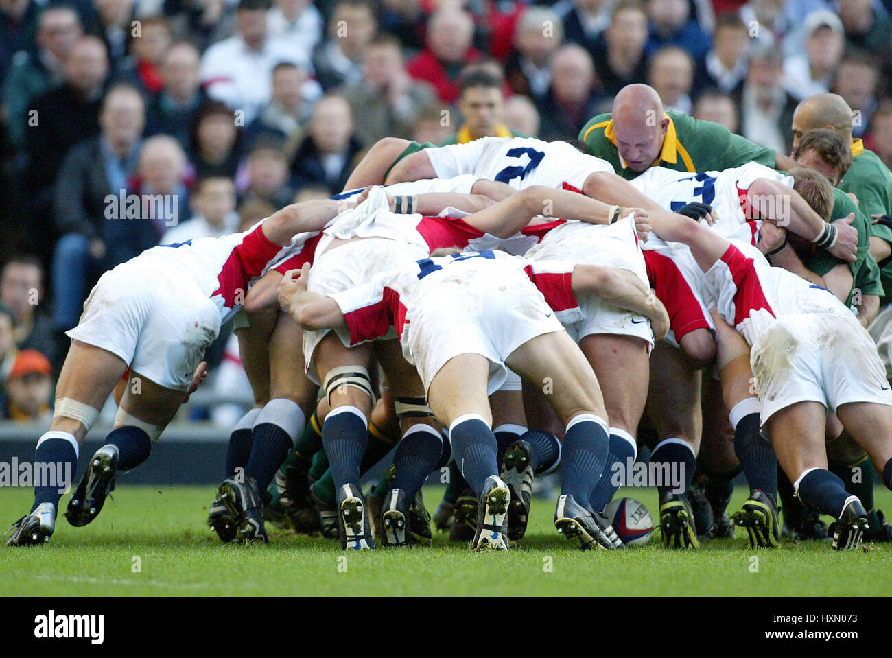 ENGLAND SCRUM ENGLAND V SOUTH AFRICA TWICKENHAM LONDON ENGLAND 23 ...