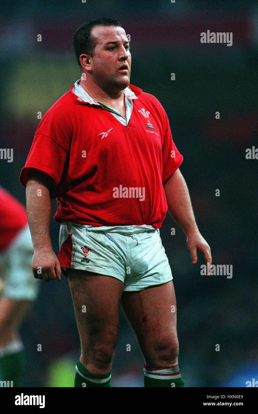 Garin jenkins hi-res stock photography and images - Alamy