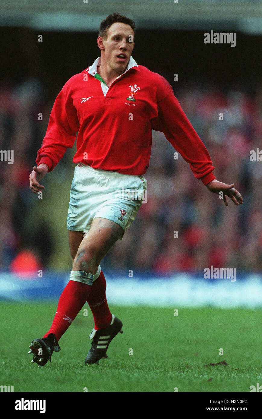 Rugby union mark taylor hi-res stock photography and images - Alamy