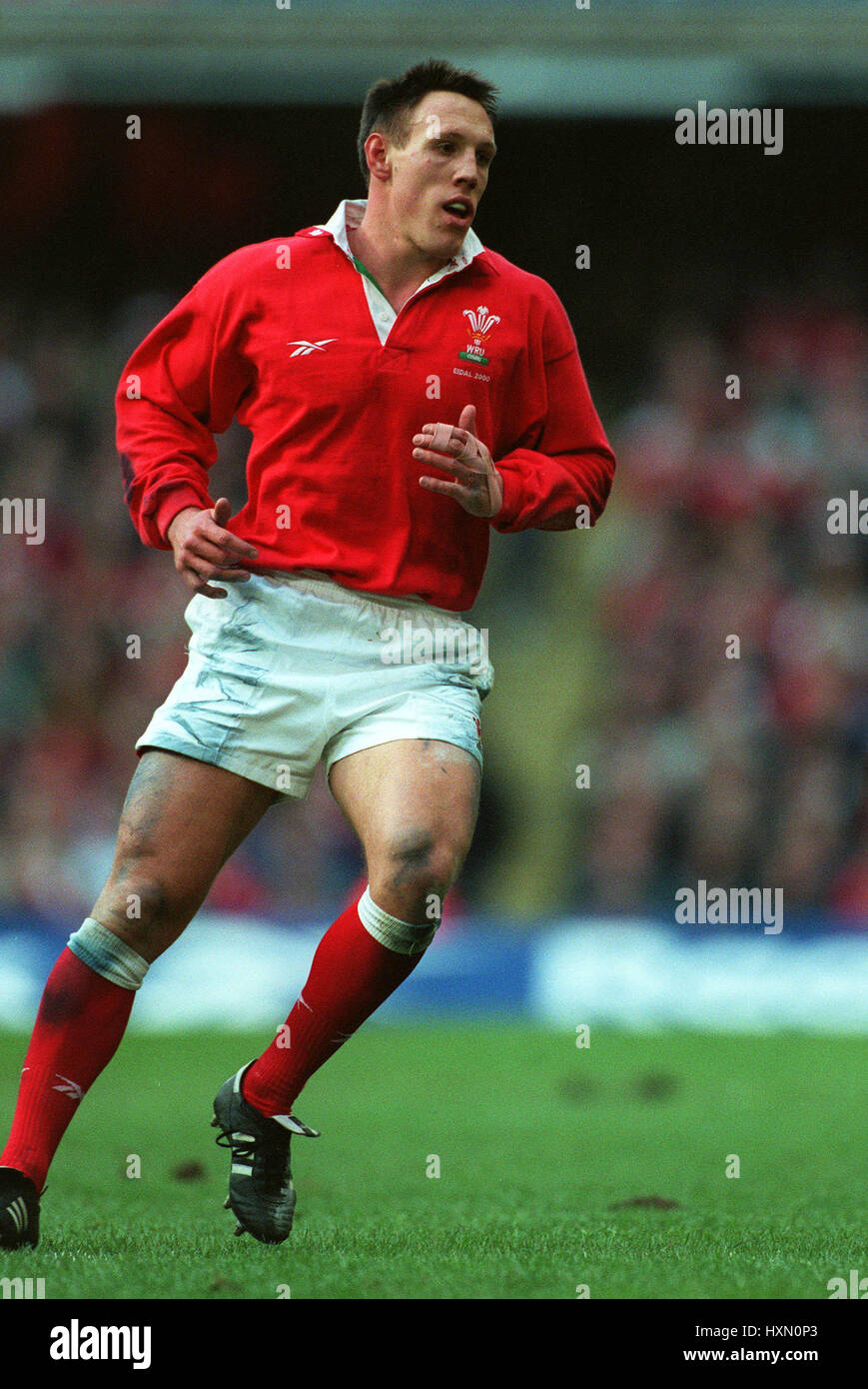 Rugby union mark taylor hi-res stock photography and images - Alamy