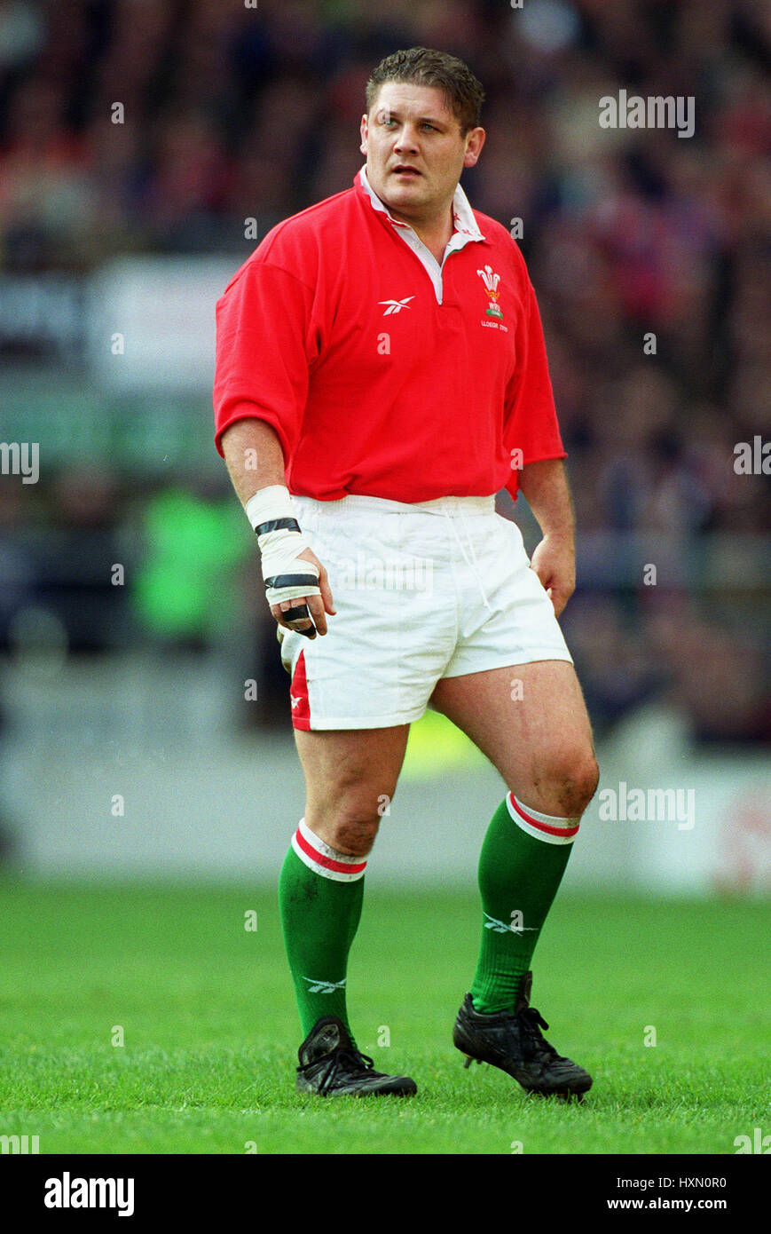 Peter rogers hi-res stock photography and images - Alamy