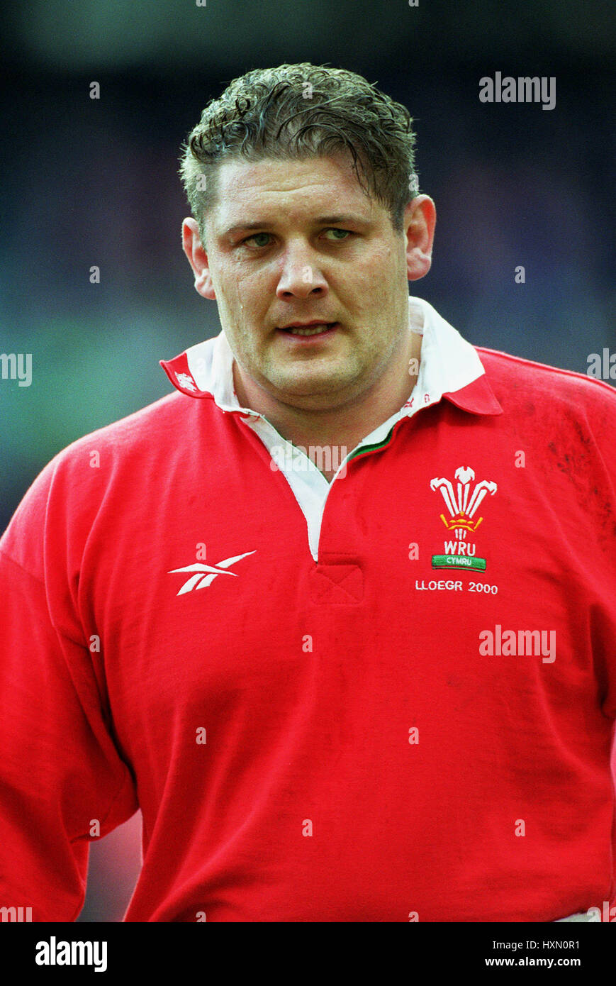 Peter rogers hi-res stock photography and images - Alamy