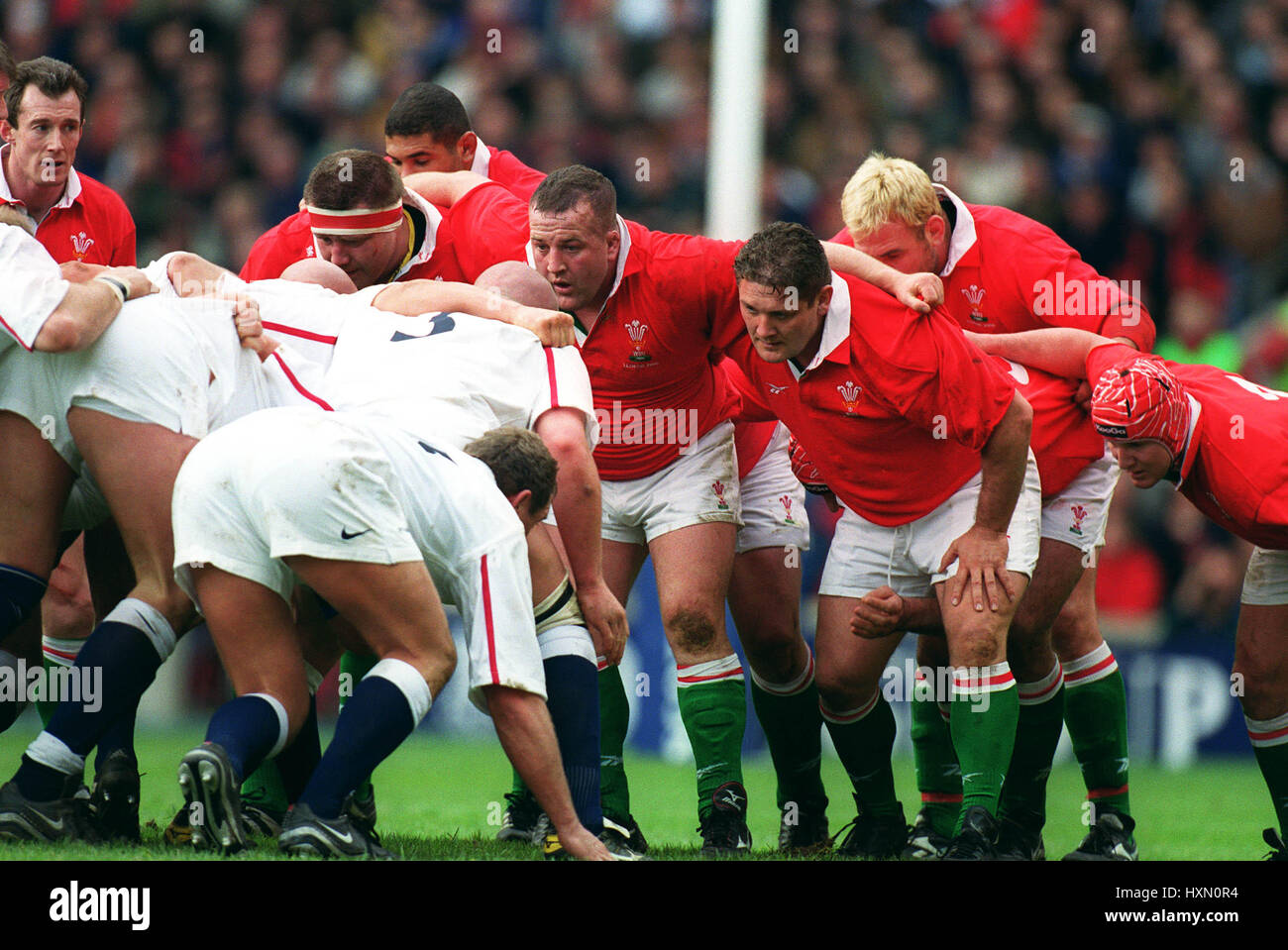David rogers rugby hi-res stock photography and images - Alamy