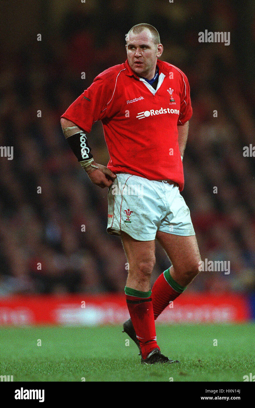 Scott quinnell rugby hi-res stock photography and images - Alamy
